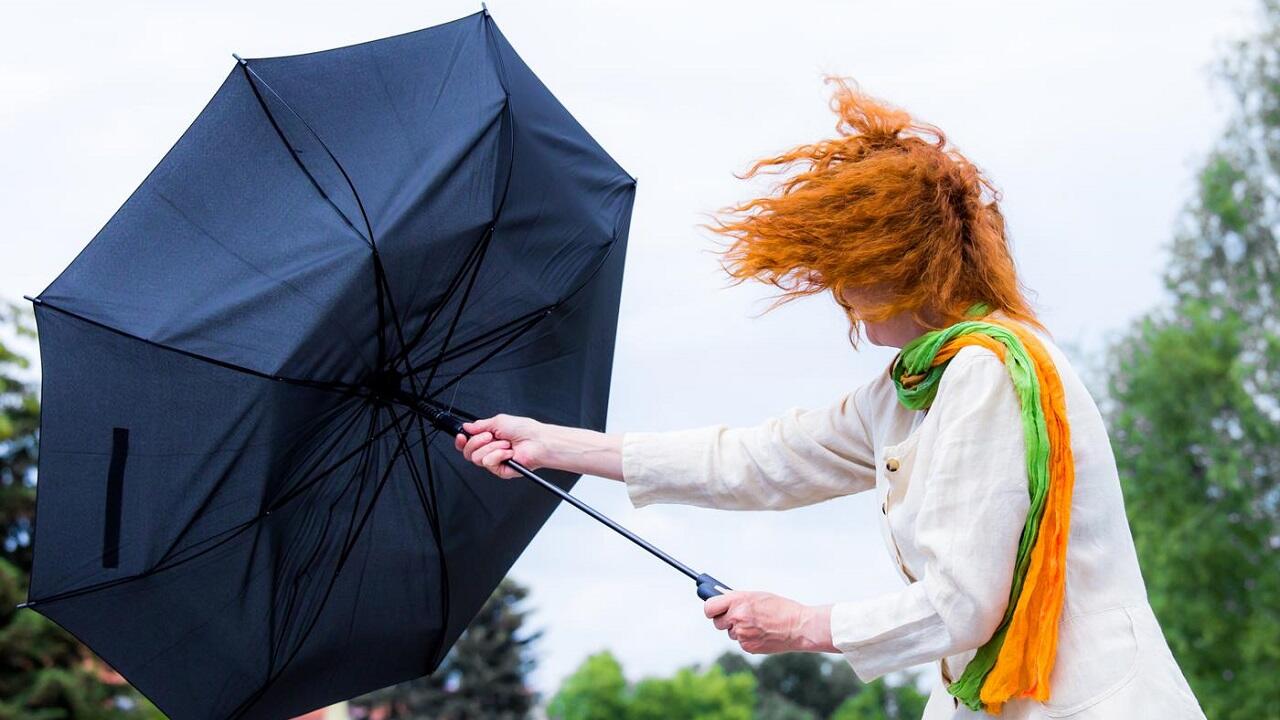 Оранжевый уровень опасности: в пятницу в Беларуси вновь будут грозы ...